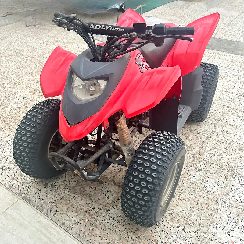 ADLY 100cc Quad bike for Sale | dubizzle