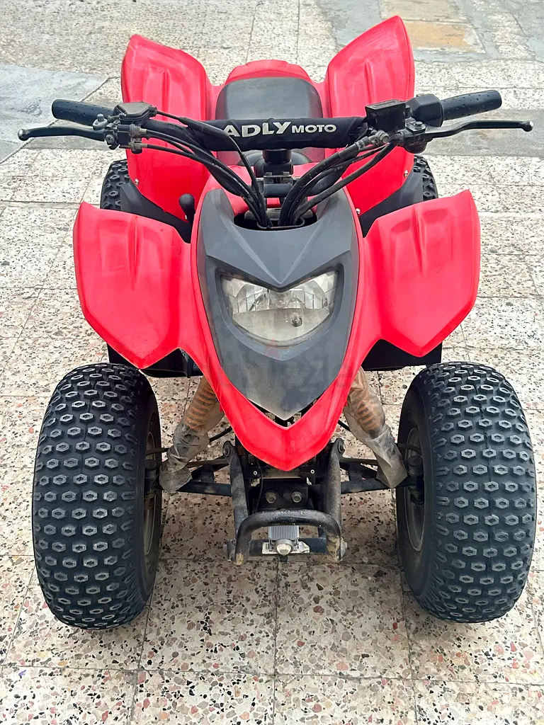 ADLY 100cc Quad bike for Sale | dubizzle