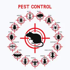 Pest control services in Dubai | dubizzle