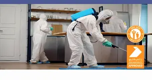 Pest control services in Dubai | dubizzle