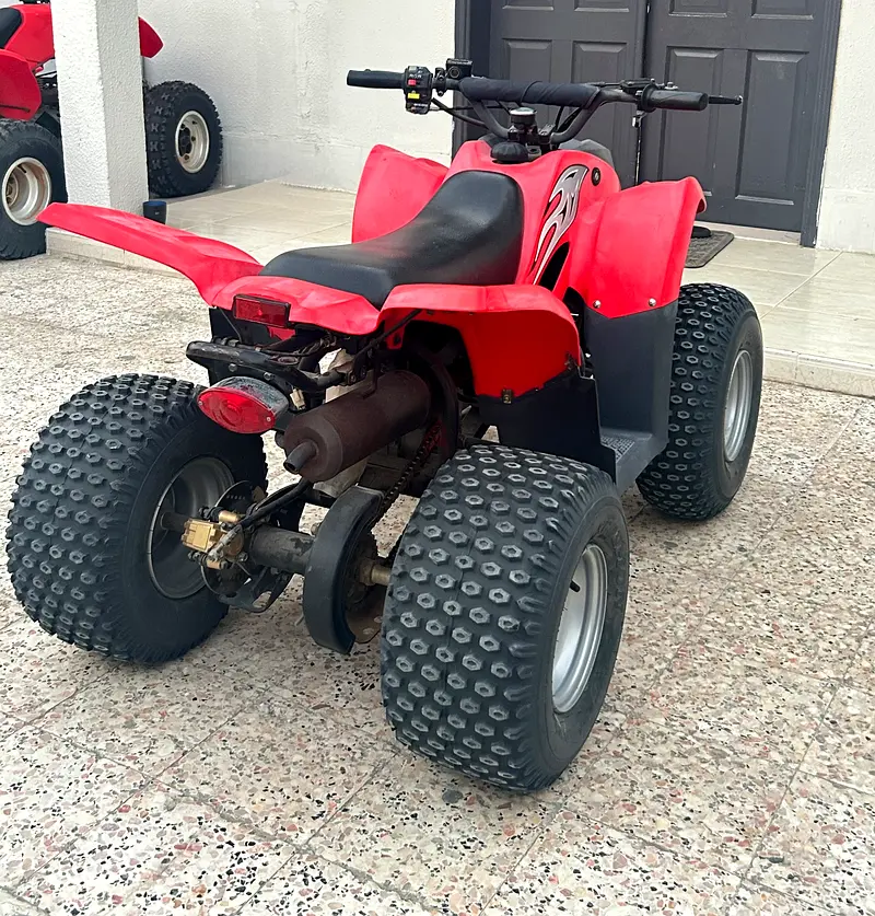 ADLY 100cc Quad bike for Sale | dubizzle