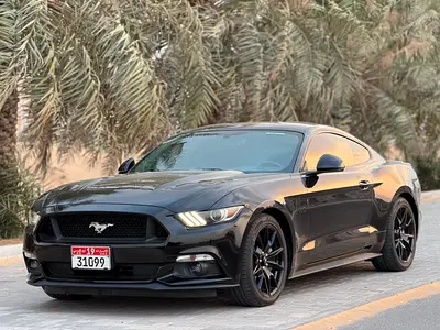 Used Ford Mustang With Racing Seats for Sale in Dubai | dubizzle