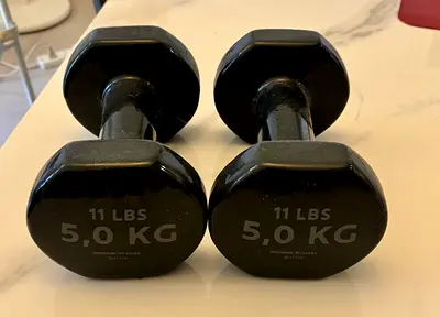 Classifieds: 💪 Dumbbells for Sale – 100 AED | Majan | dubizzle Dubai