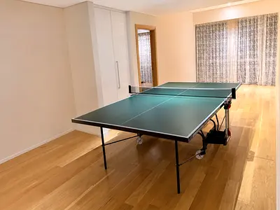 Classifieds: Ping Pong Donic Outdoor Roller | dubizzle Abu Dhabi