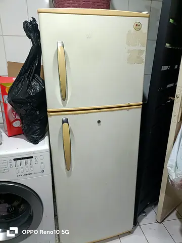 Classifieds: Used LG Double-Door Refrigerator - 2-Door Top Freezer ...