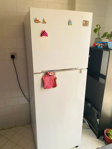 Classifieds: Well-kept two-door refrigerator - good working condition ...
