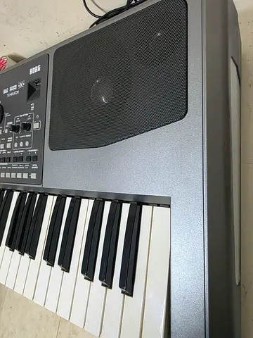 Classifieds: korg pa900 | dubizzle Sharjah