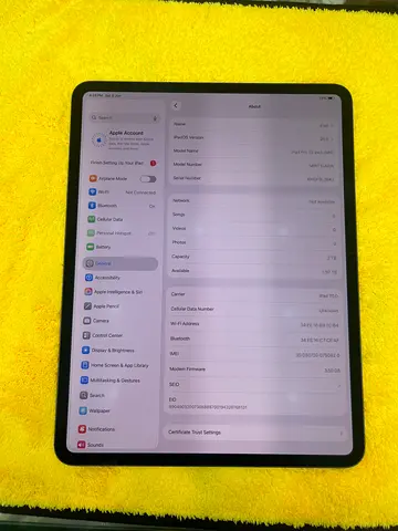 Classifieds: Apple iped pro 13 inch M4 2tb sim card nano glass care+ ...