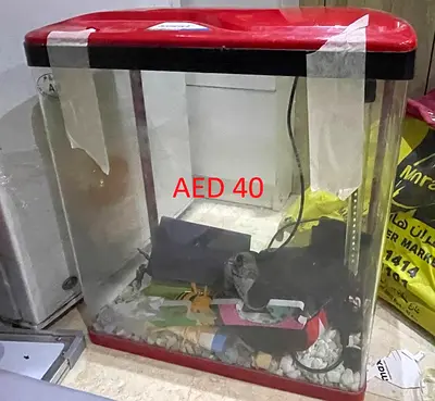 Classifieds: Small Red Fish Aquarium Tank with Lid — Used, AED 40 ...