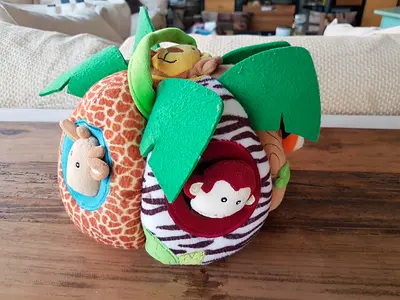 Classifieds: Animal world sorter | dubizzle Abu Dhabi