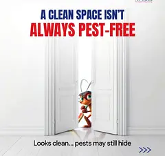 Community: Looks clean but is it pest free pest hide in moisture, tiny ...