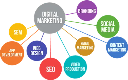 Community: Graphic Design, Branding, Shopify, Website Design, Email and ...