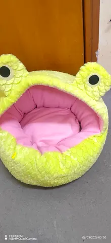 Classifieds: Cute frog-shaped pet bed — soft, cozy, gently used ...