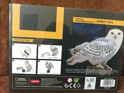 Classifieds: Brand new National Geographic Snowy Owl 3D Puzzle Model ...