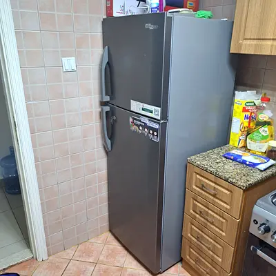 Classifieds: Well-maintained double-door refrigerator, 2-door top ...