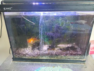 Classifieds: Camry Aquarium with Light and Built-in Filter | dubizzle ...