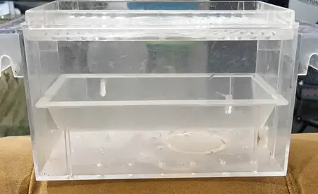Classifieds: Fish breeding box | dubizzle Sharjah
