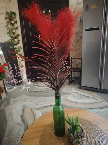 Classifieds: Decorative red feather arrangement in green bottle ...