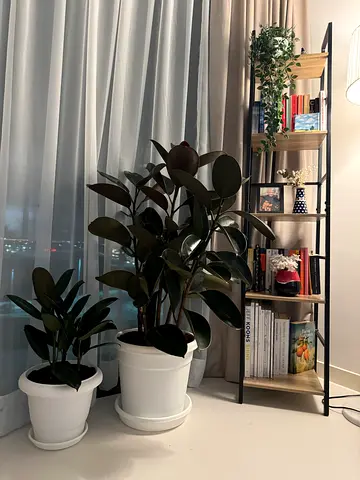 Classifieds: Modern bookshelf | dubizzle Abu Dhabi