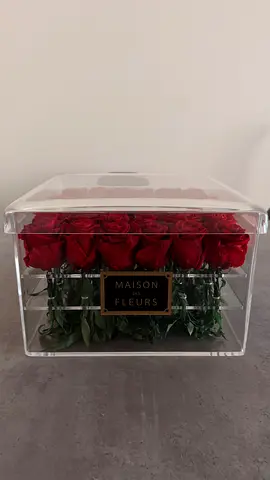 Classifieds: Maison des fleurs long life roses | dubizzle Dubai