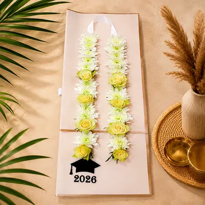 Classifieds: Set of Decorative Graduation Garlands 2026 (New ...
