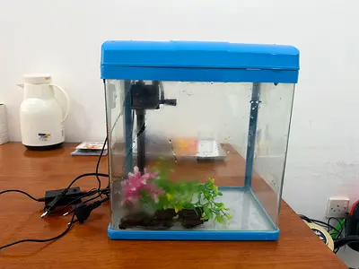 Classifieds: Small Glass Aquarium with Blue Lid and Accessories ...