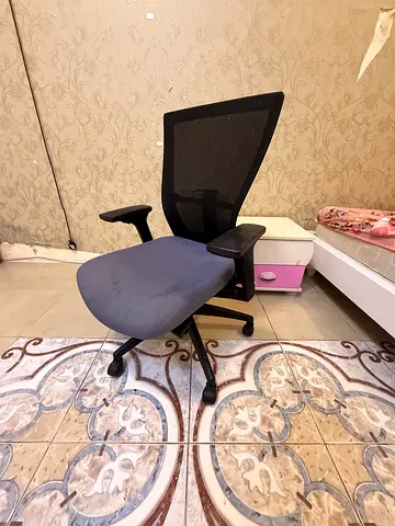 Classifieds: Ergonomic mesh office chair with adjustable height - used ...